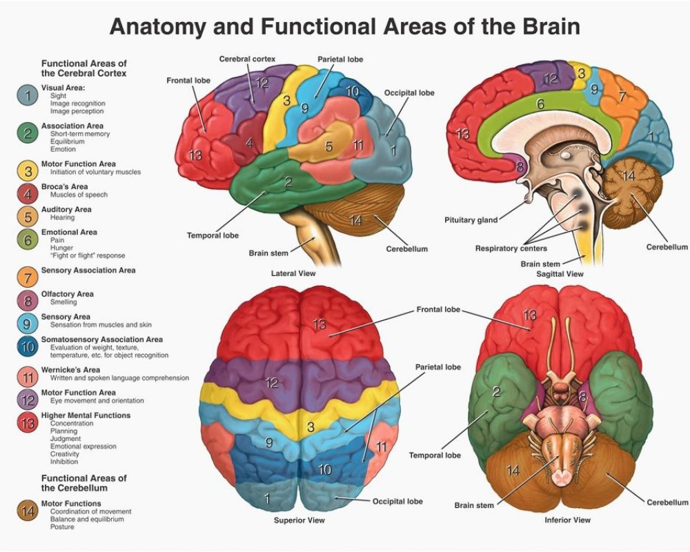 addiction-treatment-drug-and-alcohol-therapy-the-source